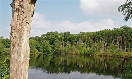 Natuurbeleid en regels | Provincie Drenthe