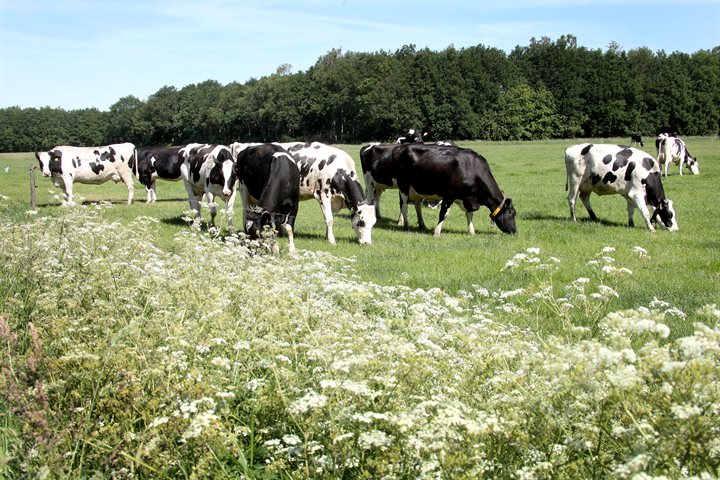 Nieuws - Duurzaam Boeren Drenthe