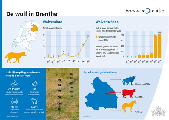 De wolf in Drenthe - Infographic | Provincie Drenthe