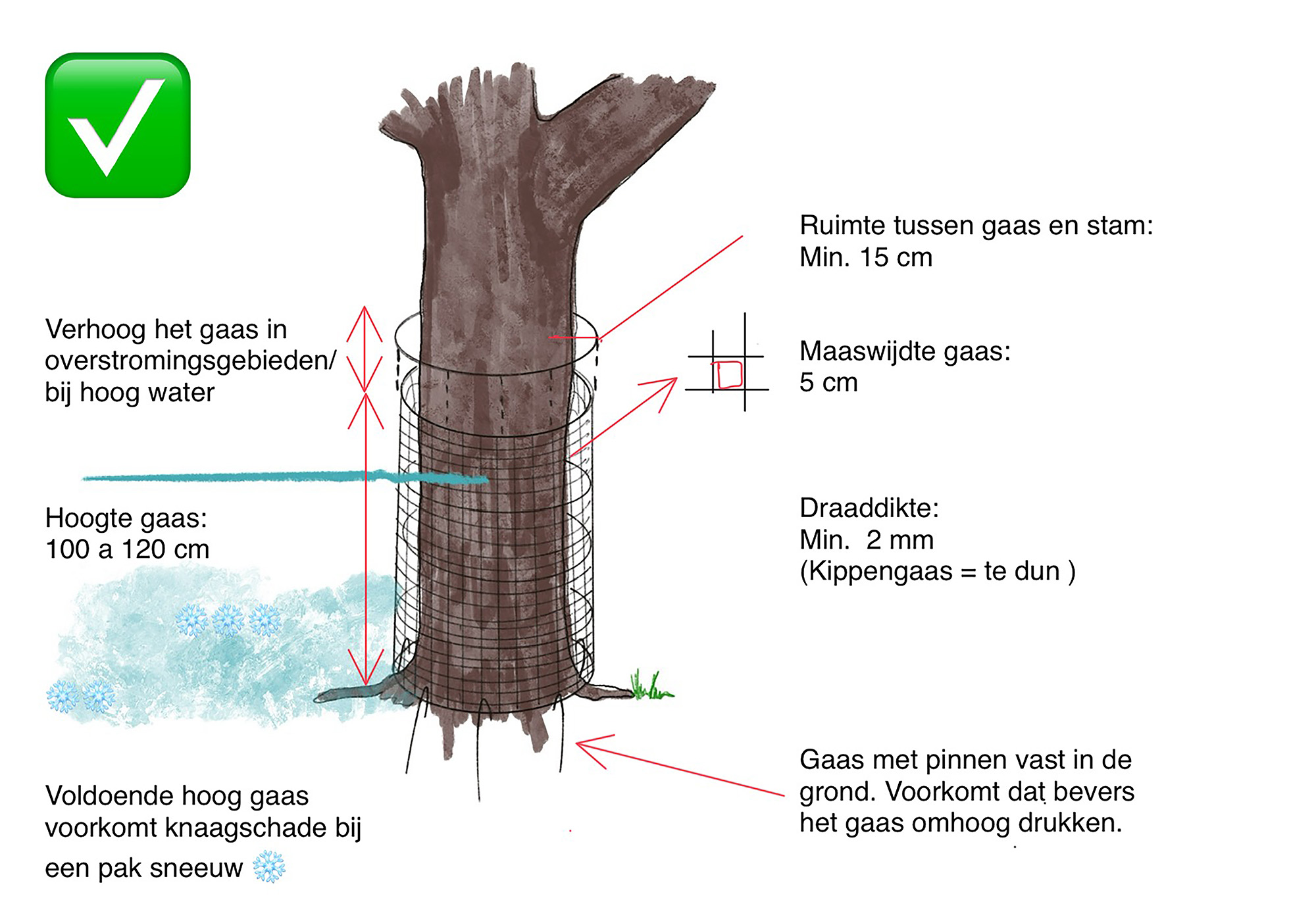 Bevers in de stad - Provincie Drenthe