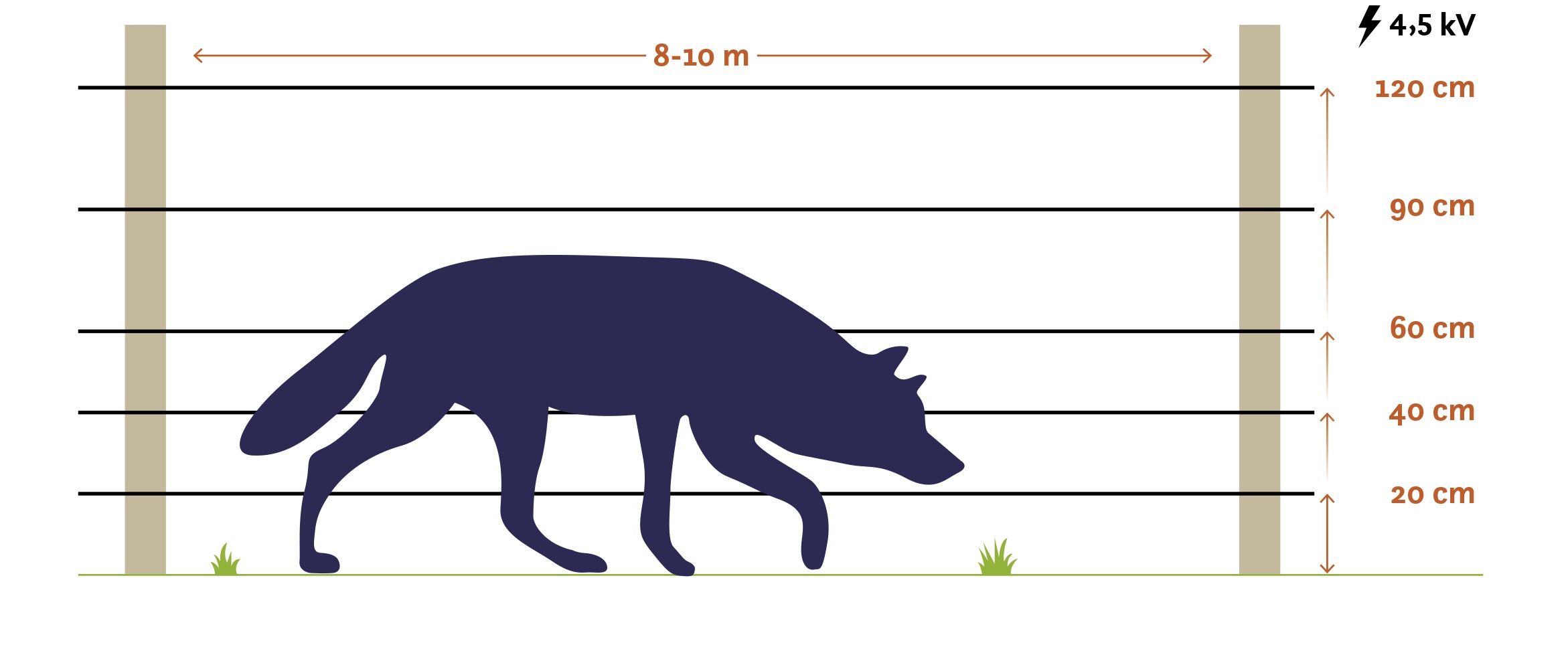 Wolfwerende rasters | Provincie Drenthe