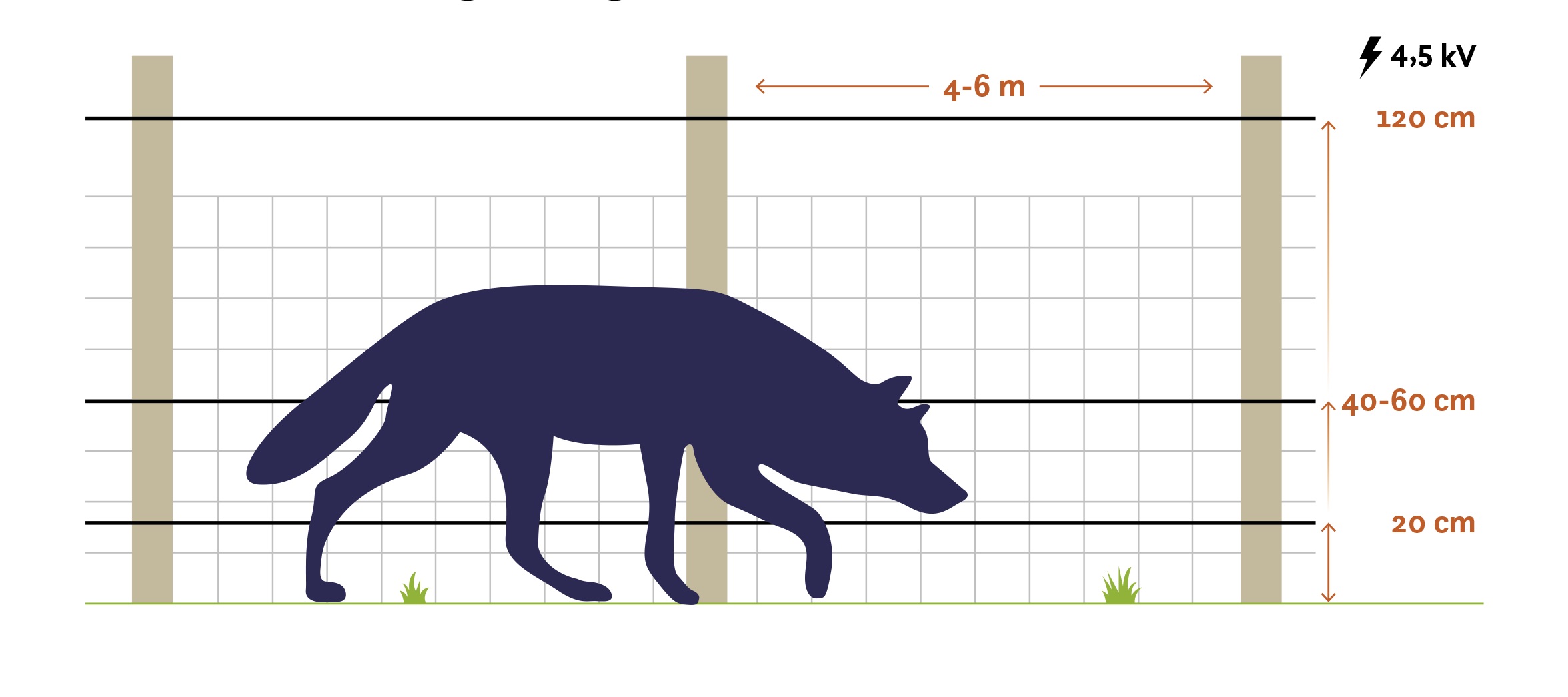 Wolfwerende rasters | Provincie Drenthe