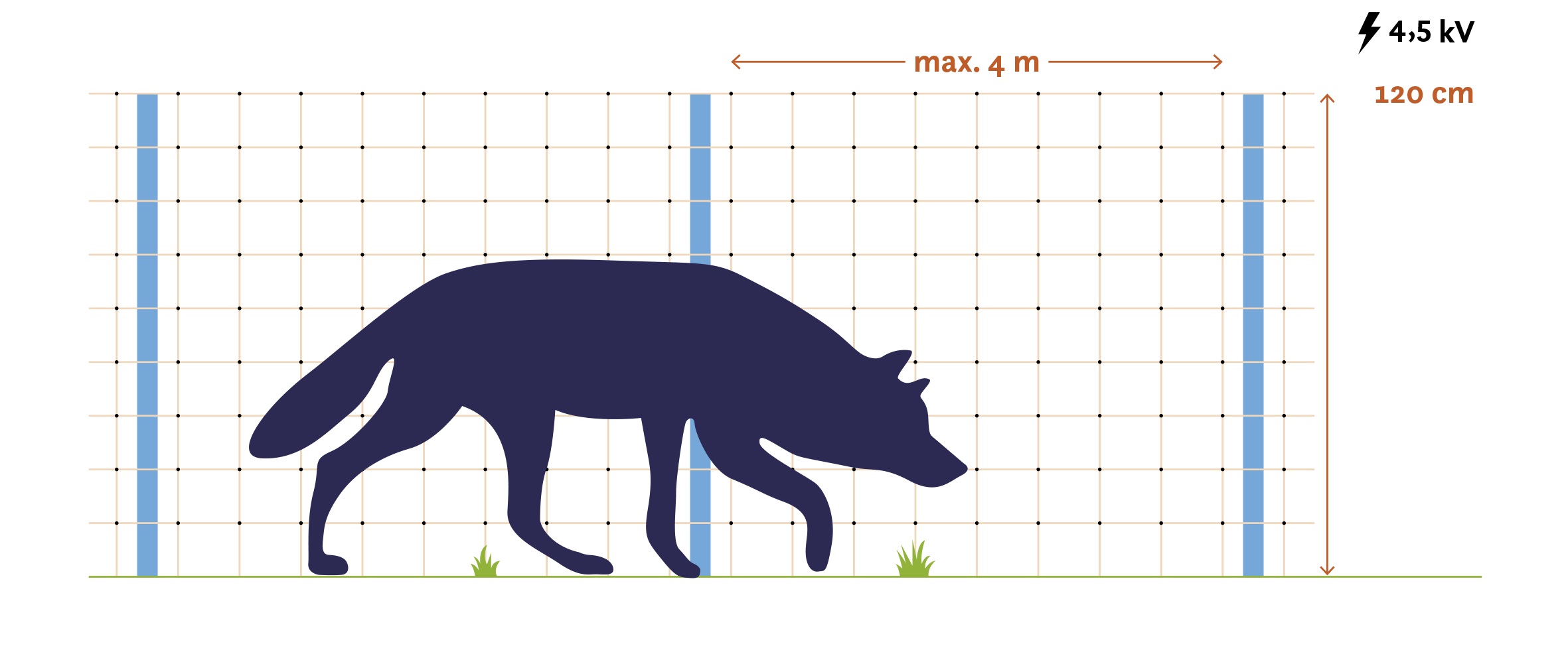 Wolfwerende rasters | Provincie Drenthe