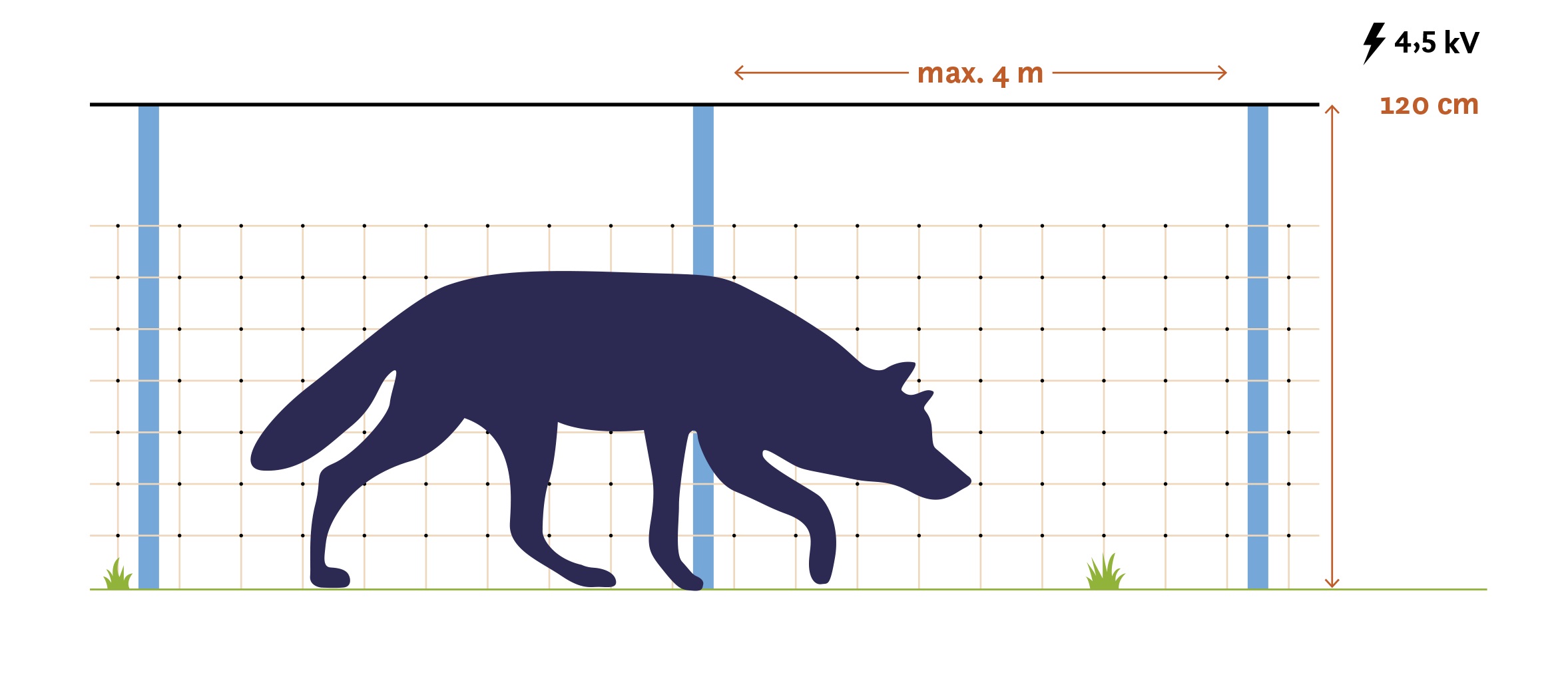 Wolfwerende rasters | Provincie Drenthe
