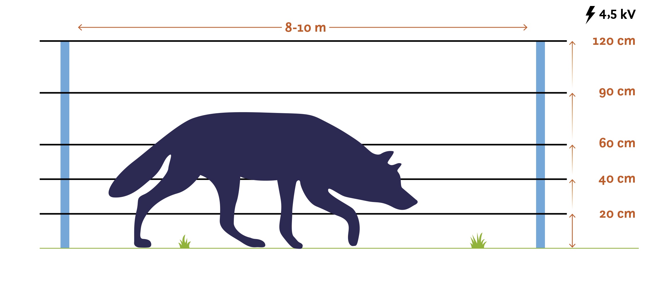 Wolfwerende rasters | Provincie Drenthe